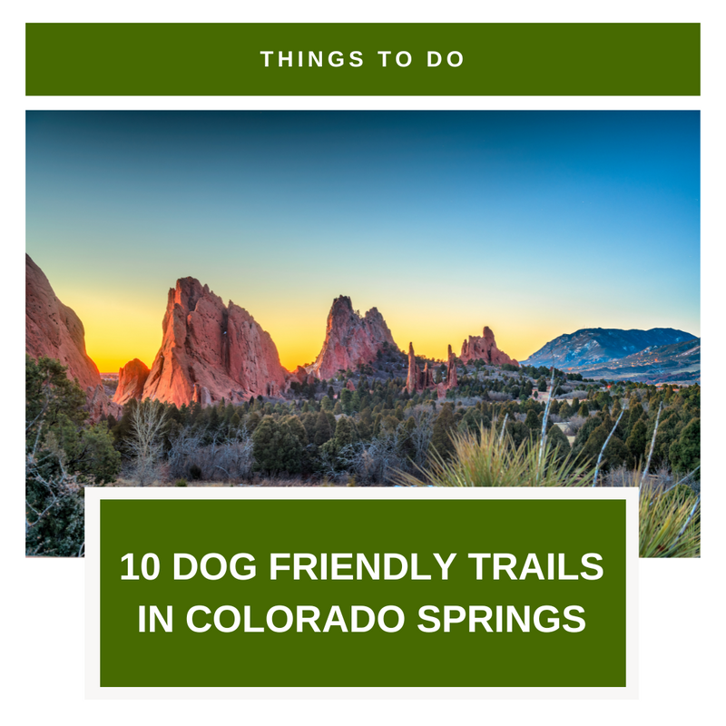10 Dog Friendly Trails In Colorado Springs - Grizzee